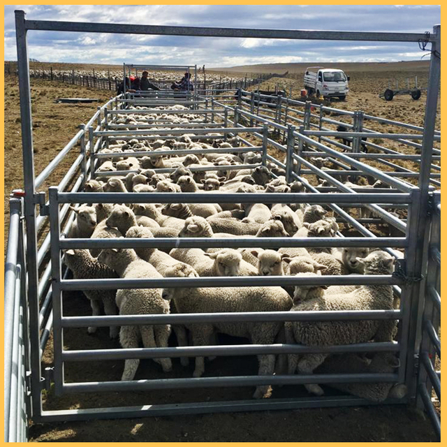 Corral Panel | Livestock Fencing Panel | Welded Corral Panel