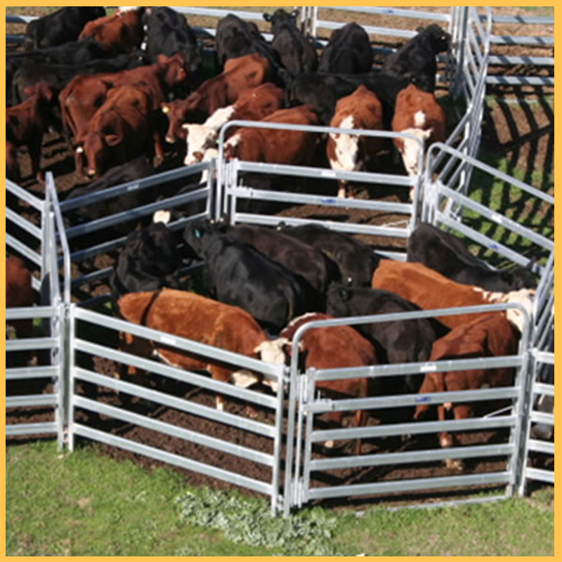 Horse and Livestock Fence Panels | Horse Fence Panels